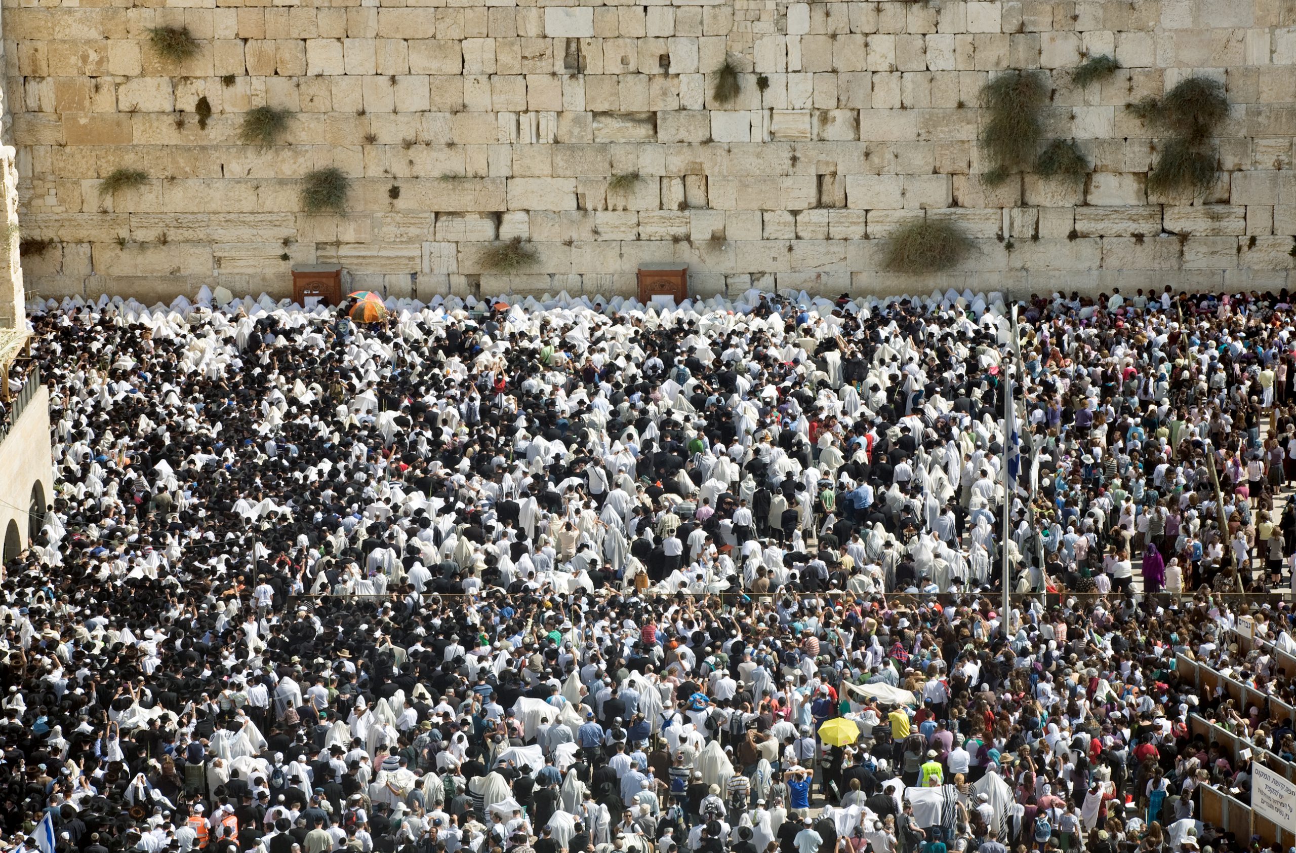 Kohen Marriages - Shidduch Resources